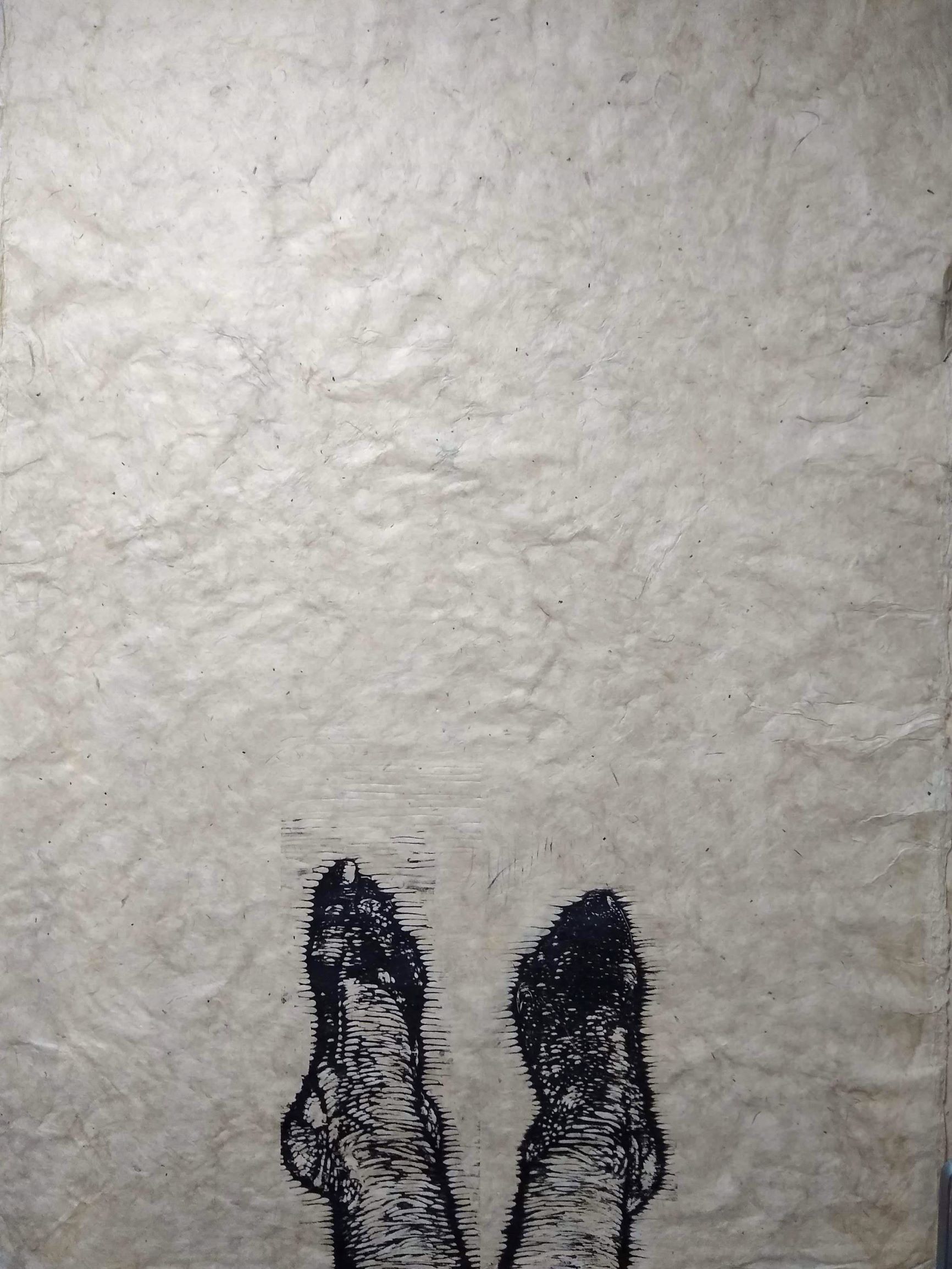 Melinda Cross Fine Art